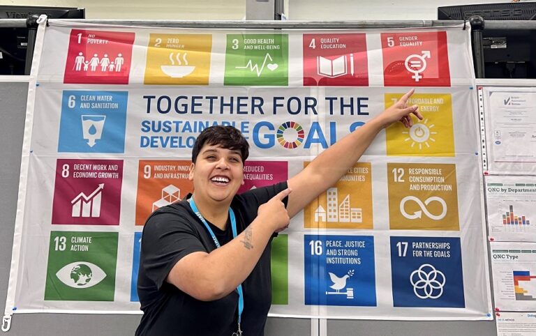 Uniting for a better future | #TogetherForTheSDGs Flag Day | Datagraphic